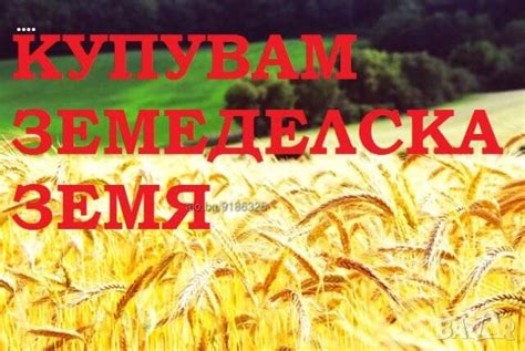 Купуваме Земеделски Земи Купува имоти Шумен Купуваме земеделски земи включително и иде
