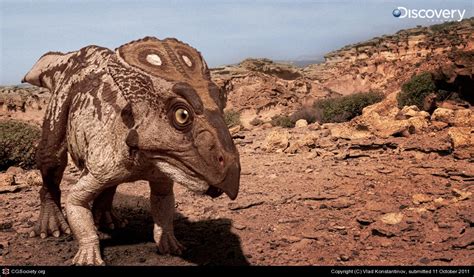 Protoceratops Dinosaur Revolution Wiki Fandom Powered By Wikia