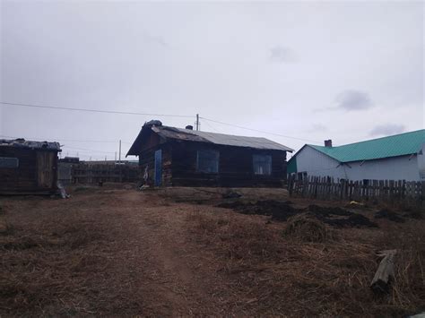 ЭРСДЭЛТ НӨХЦӨЛ ДЭХ ХҮҮХДҮҮДЭД 2 ДАХЬ УДААГИЙН ҮНЭЛГЭЭ ХИЙХ АЖЛЫГ ЭХЛҮҮЛЛЭЭ Хүйтний улирал