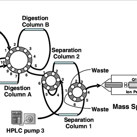 Detailed Description Of An In Gel Protein Digestion Protocol