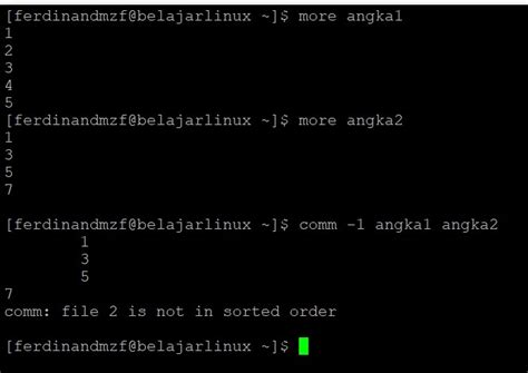 mengenal perintah shell script pada sistem operasi unix linux ferdinand blog