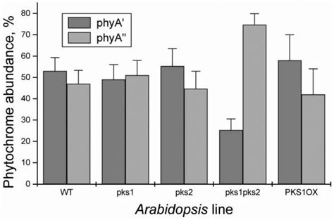 Two Distinct Molecular Types Of Phytochrome A In Plants Evidence Of Existence And Implications