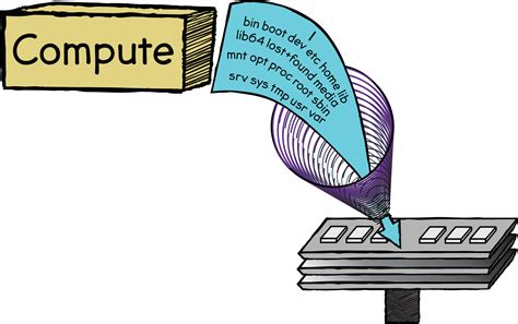 Download Root File Systems PNG Image With No Background PNGkey Com