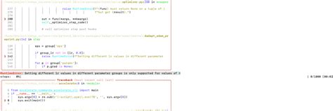 runtimeerror setting different lr values in different parameter groups is only supported for