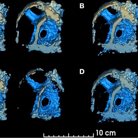 Smoothing Threshold Edge Smoothing And Depth Range Parameters Download Scientific Diagram