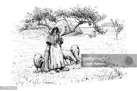 Grass Path Texture High Res Illustrations Getty Images