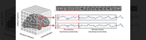 Garcea Lab Urmc And Ur Research Laboratories University Of Rochester Medical Center