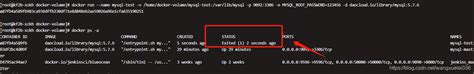Docker 查看容器日志命令docker Exec进入容器查看日志命令 Csdn博客