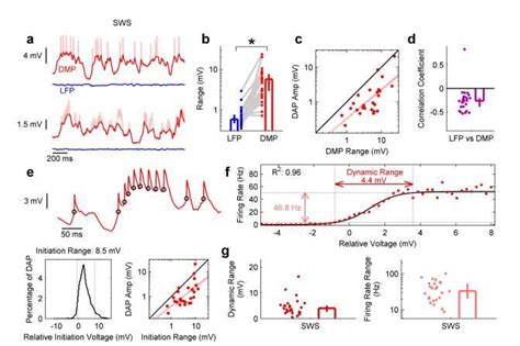 Large Subthreshold Membrane Potential Fluctuations Modulate Dap Rates Download Scientific