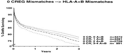 EVALUATION OF HLA MATCHING FOR CREG ANTIGENS IN EUROPE1 Transplantation