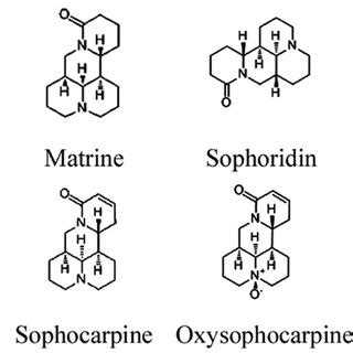 Chemical Structure Of The Elements Download Scientific Diagram