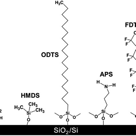 schematics of self assembled monomers sams on sio2 si substrates