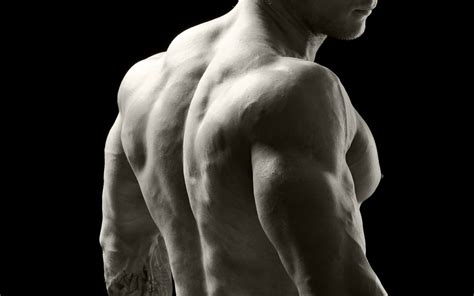 Exercises To Give You An Unbreakable Back Onnit Academy