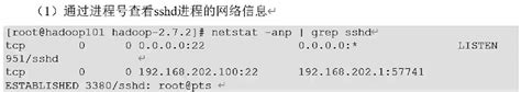 linux进程管理类 查看进程 终止进程 查看进程树 实时监控进程 网络状态和端口监控 linux监控进程命令 csdn博客
