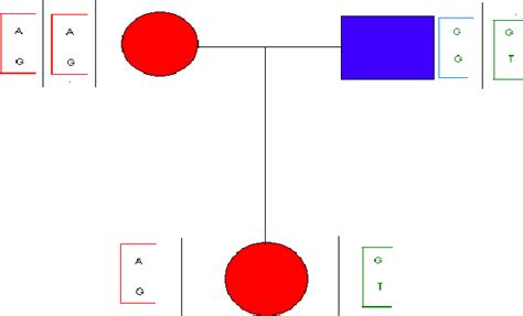 Figure 2 From A System For Automated Storage And Analysis Of Single