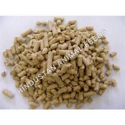 Camel Feed Camel Race Feed Exporter From Jamnagar