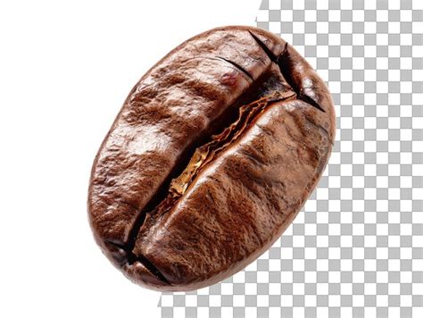 Coffee Bean Isolated On Transparent Background Premium AI Generated PSD
