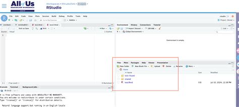 Shared Workspace Storage For Rstudio And Sas User Support