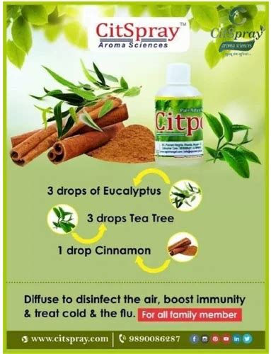 Eucalyptus Diffuser Oil At Rs 900 Bottle Diffuser Oils In Nagpur Id 2854483217888