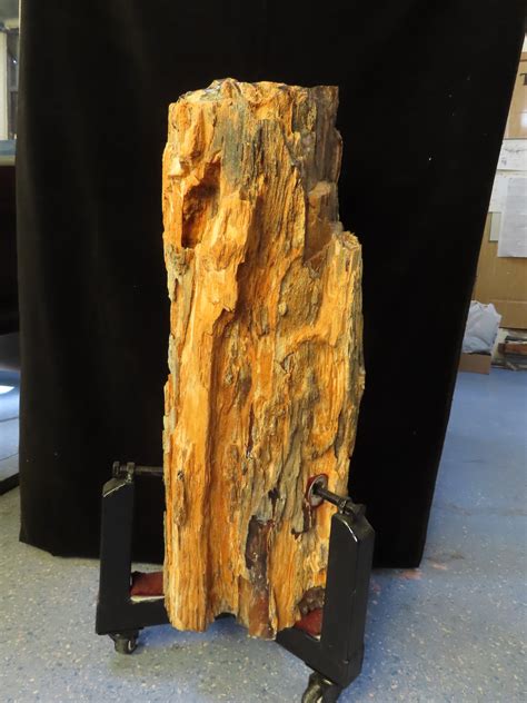 Монголын Алт МАК Added A New Photo Монголын Алт МАК