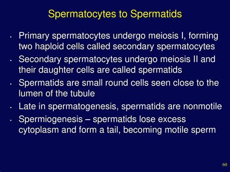 The Cell Cycle And How Cells Divide Ppt Download