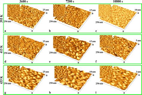 Representative Two Dimensional And Three Dimensional Reconstruction Of Download Scientific
