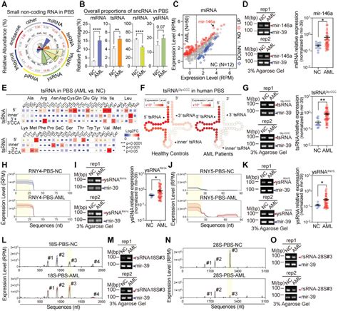Human Circulating Small Non Coding Rna Signature As A Non Invasive Biomarker In Clinical