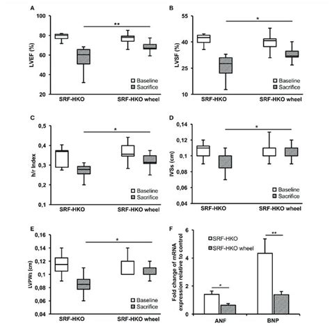 Left Ventricle Function And Structure Assessments By Echocardiography Download Scientific