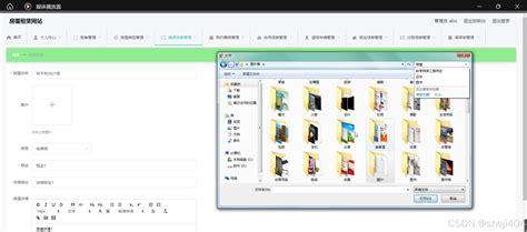 基于ssm vue房屋租赁网站 开题报告 程序 论文 java csdn博客