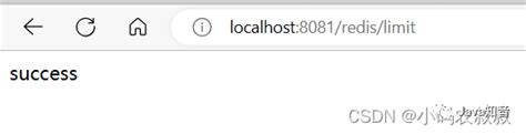 springboot 限流方案 csdn博客