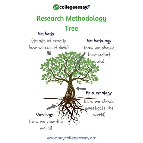 Research Methodology Tree College Essay Essay Writing Help Writing Services