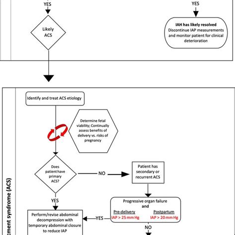 Proposed Management Algorithm For Peripartum Intra‐abdominal Download Scientific Diagram