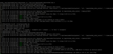 Facing Issue While Logging To Jupyterhub It Shows Invalid Username Or Password In The