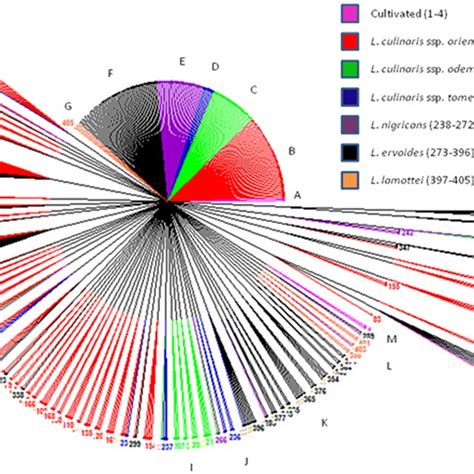 hierarchical clustering of lens accessions based on qualitative
