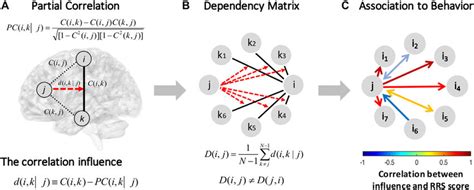 Dependency Network Analysis A The Correlation Influence Of Node J On