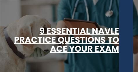 9 Essential Navle Practice Questions To Ace Your Exam Navle Prep
