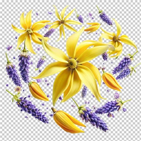 Exploding Flowers Premium Ai Generated Psd