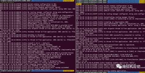 快速上手 vsomeip vsomeip sd 详解 csdn博客