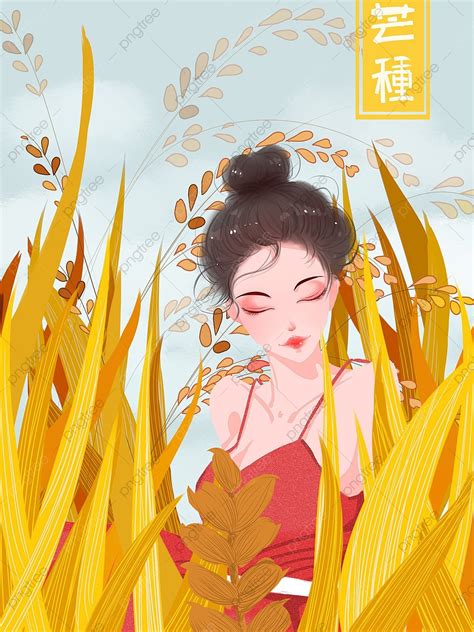 24절기 망종 밀 일러스트 24 개의 태양 용어 미스 카 투스 아름다움 일러스트 Pngtree 로열티 무료