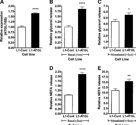 Figure 3 From Adipose Triglyceride Lipase Function Regulation By