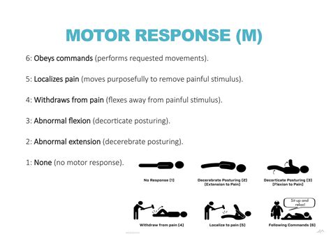 Glasgow Coma Scale Gcs Presentation Pptx