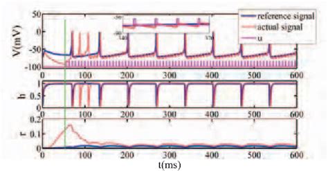 Figure 3 From A Comparision Of Open Loop And Closed Loop Dbs To Control The Thalamic Relay