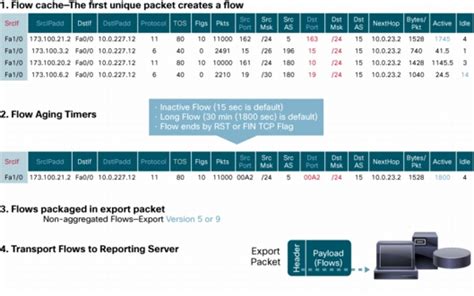 Python/Networking/Security/Virtualization Fundamentals: Netflow