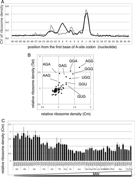 Local Structures Affecting Ribosome Density A Coefficient Of