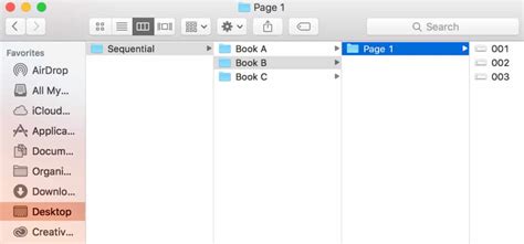 4 Great Ways To Sort Your Photos It S Not As Hard As You Think Organizing Photos