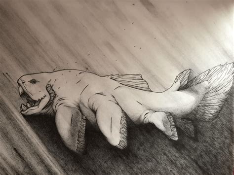 Did Really Dunkleosteus And Other Placoderms Had Their Shield Bones Exposed And Images