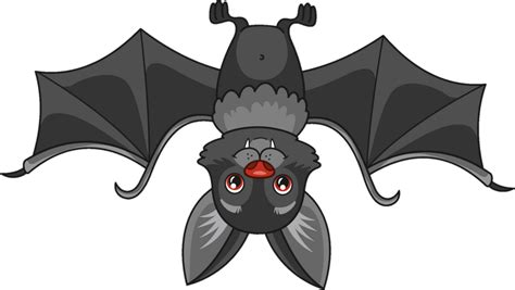 Bat PNG Transparent Images Free Download Pngfre
