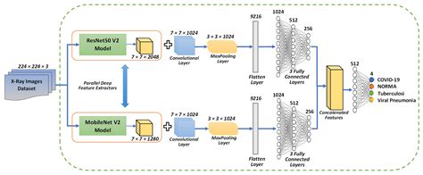 Concatenation Of Pre Trained Convolutional Neural Networks For Enhanced