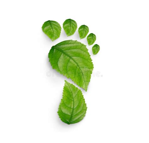 Green Leaf Growing Footprints Co2 Symbol Isolated On White Background