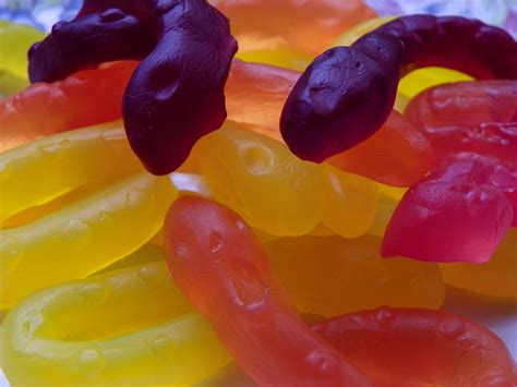 Why The Carbon Tax ‘python Won T Squeeze The Economy